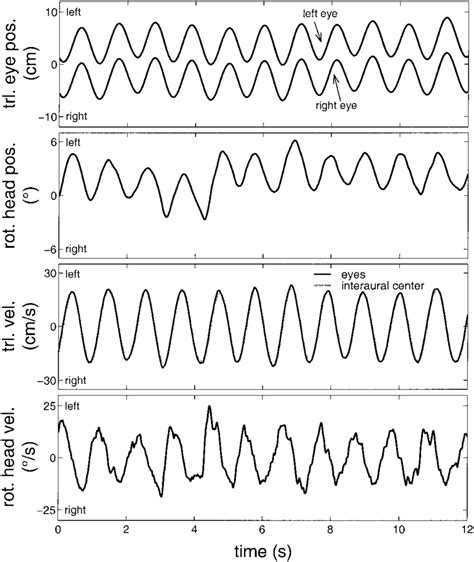 Head Kinematics Of Subject Ab Instructed To Generate Sinusoidal Download Scientific Diagram