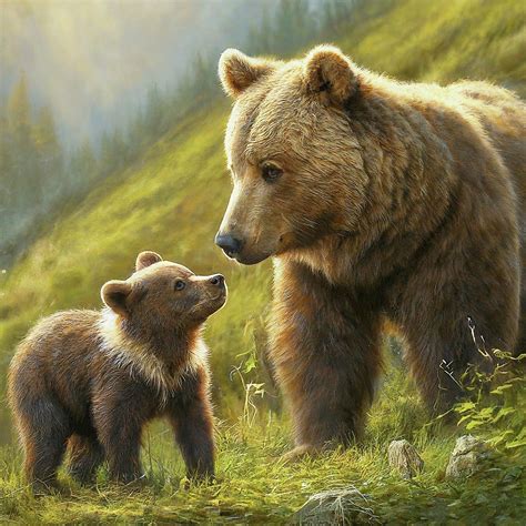 Fuzzywuzzy The Before And After Towards Data Science