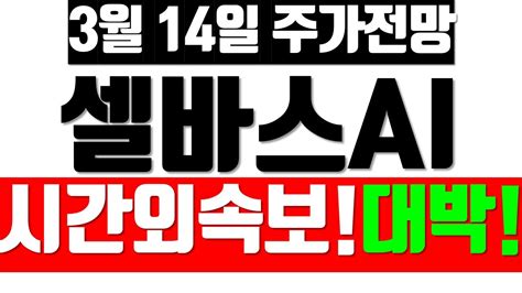 셀바스ai 시간외속보 큰일났습니다 Youtube