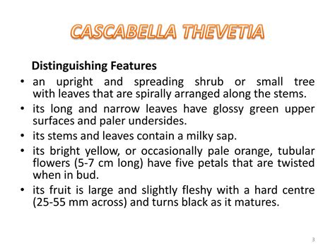 Presentation On Cascabella Thevetia And Allamanda Cathartica Pptx