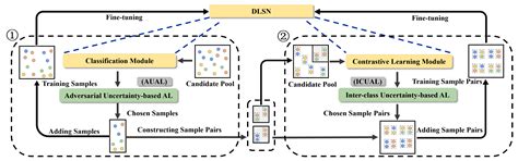 Active Learning Driven Siamese Network For Hyperspectral Image Classification