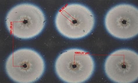 Detection Of Microplastics In Water News At Plastech Vortal