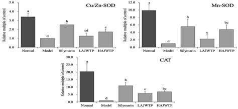 Antioxidants Free Full Text Liver Injury Induced By Carbon Tetrachloride In Mice Is