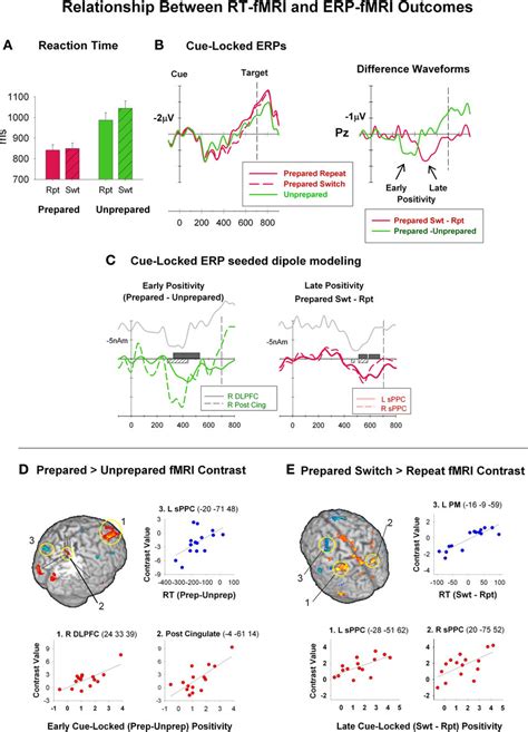 Event Related Brain Potentials Erp Are Extracted From The Download Scientific Diagram