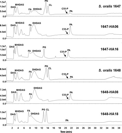 Normal Phase Lc Esims Analysis Of The Total Lipid Extracts Of