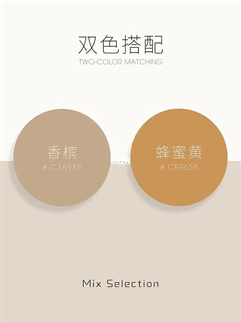 5组高级感色彩搭配：配色灵感这不就来了吗 复古配色 1⃣️富裕黄金 巴萨诺瓦红 2⃣️蓝铃 忍冬绿 3⃣️香槟 蜂蜜黄 4⃣️驼色 复古绿 5⃣️浅紫灰 葡萄酱 法式穿搭