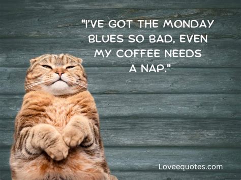 Silly Monday Quotes 150 Funny Monday Quotes To Kickstart A Joyful