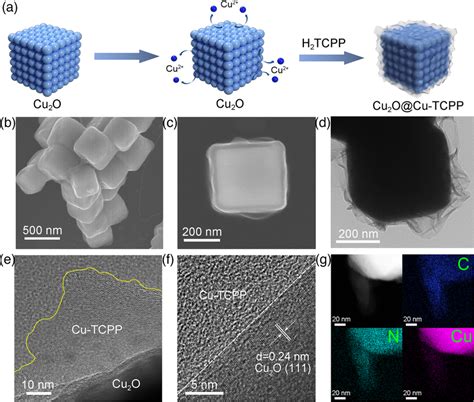 Preparation And Morphological Characterizations Of Cu2o Cp‐1 A Download Scientific Diagram