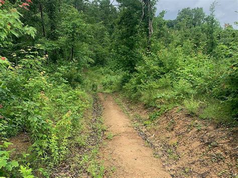 0 Kiser Rd Grayson Ky 41143 Zillow