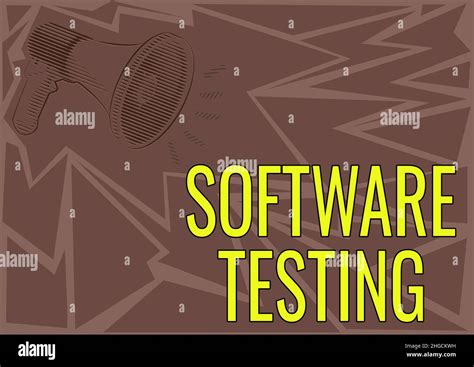 Conceptual Display Software Testing Business Overview Activity To