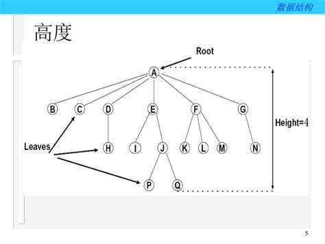 Ppt 树的概念 二叉树 Binary Tree 二叉树的存储 二叉树遍历 Binary Tree Traversal 树与森林