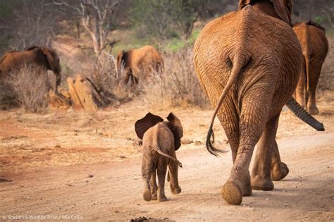 united states postgresql association on linkedin pgus