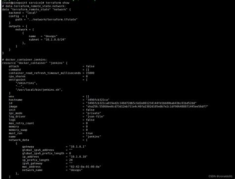 Iac基础设施即代码：terraform 创建 Docker 网络与容器资源