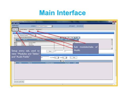 audit module ppt