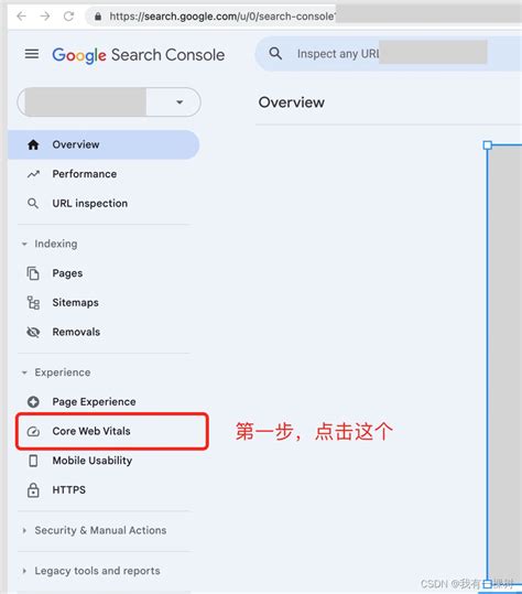 网页性能优化，各种指标检测，谷歌统计使用pagespeed，使用 Performance Apipagespeedwebdev Csdn博客