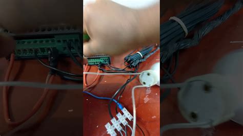 Dixell Controller Wiring Diagram Herbalic