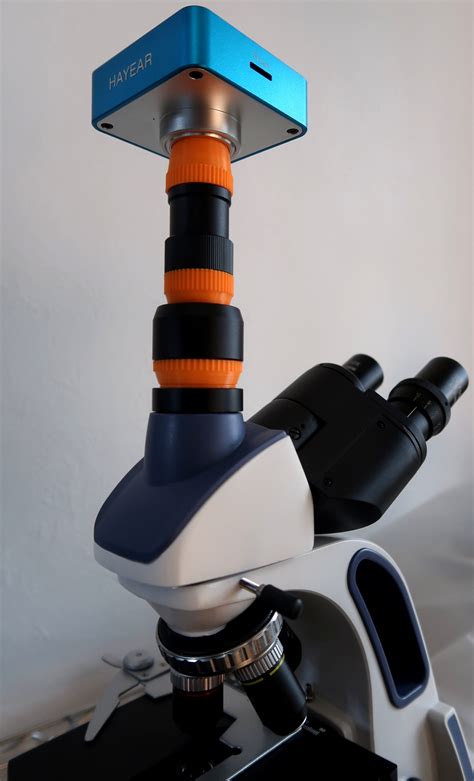 Microscope Trinocular Port At Jonathan Worgan Blog