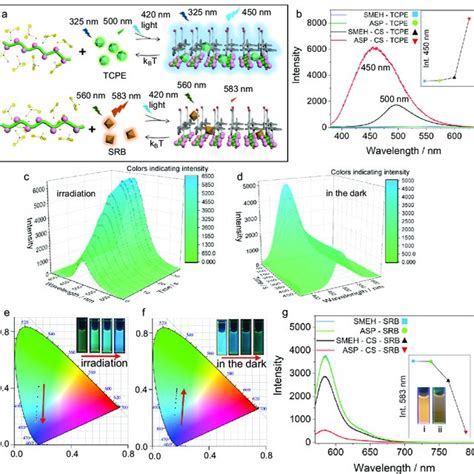 Characterization Of The Dissipative Supramolecular Self Assembly