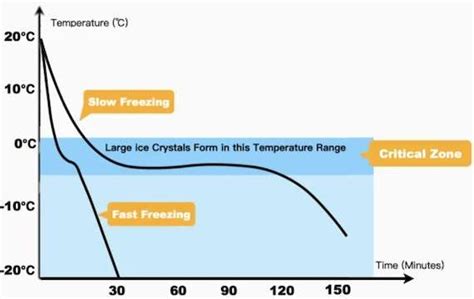 Blast Freezer Shock Freezer For Sale