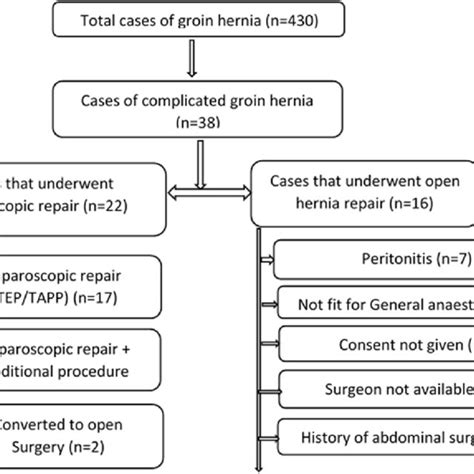 Distribution Of Hernia According To Ehs Classification Download Scientific Diagram
