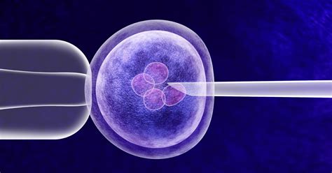 Assisted Hatching Fertility Care