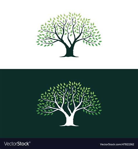 Oak Tree Logo Design Royalty Free Vector Image