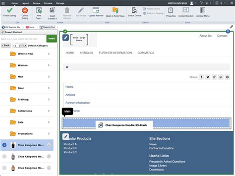 Connector For Magento Usage In Content Manager
