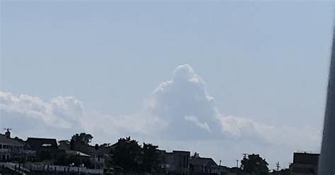 Harambe Album On Imgur