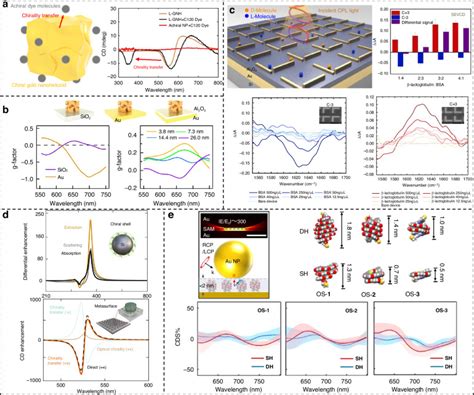 Surface Enhanced Spectroscopy Technology Based On Metamaterials Pmc