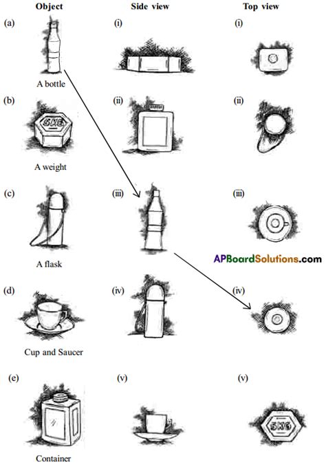 Ap 8th Class Maths 10th Chapter Visualising Shapes Exercise 101 Solutions Ap Board Solutions