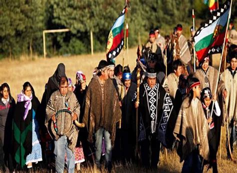 Discover The Social Organization Of The Mapuches