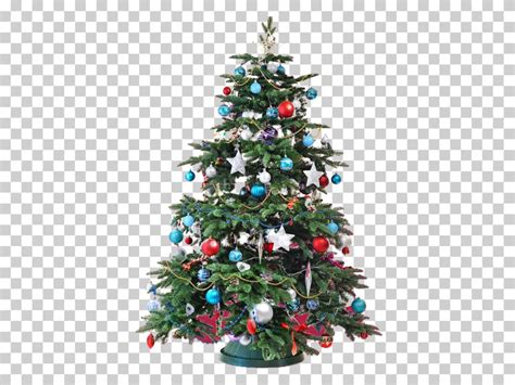 Free Real Christmas Tree Png Nohatcc