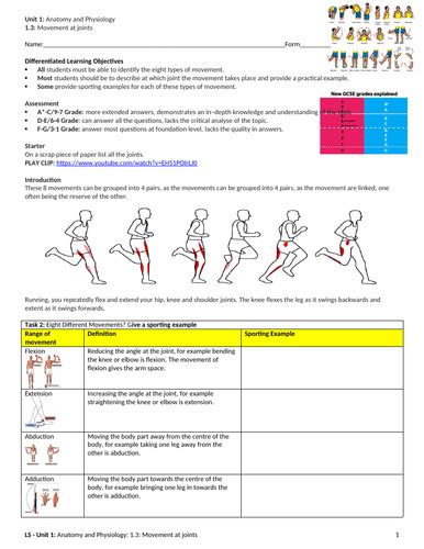 Igcse Pe Spec 2018 Skeletal System Bundle 1 1 2 3 Teaching Resources