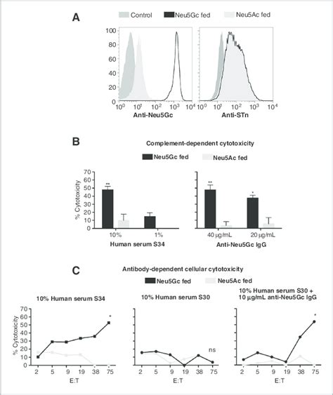 Cdc And Adcc Of Cells Expressing Cell Surface Gcstn Jurkat Cells Were