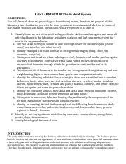 Exploring The Skeletal System A Comprehensive Study Guide Course Hero