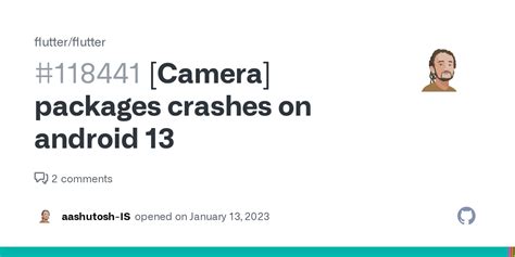 Camera Packages Crashes On Android Issue Flutter Flutter GitHub