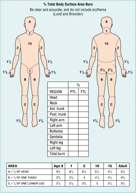 Burns Acute Care And Reconstruction Plastic Surgery Key