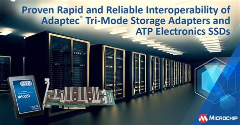 Adaptec Trimode Microchip Kemal Babuer