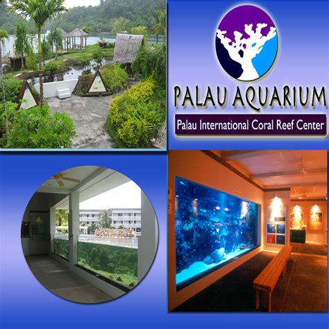Palau Guam Northern Mariana Islands Cnmi