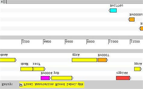 screenshot of the final visual annotation as seen through artemis