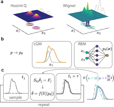 Figure 1 From Variational Dynamics Of Open Quantum Systems In Phase