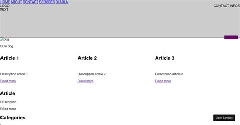 Responsive Web Design Codesandbox