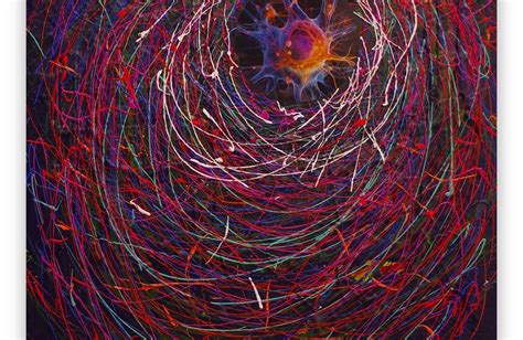 Pac Antonio Calleja Diálogos Entre El Arte Y La Ciencia El Arte