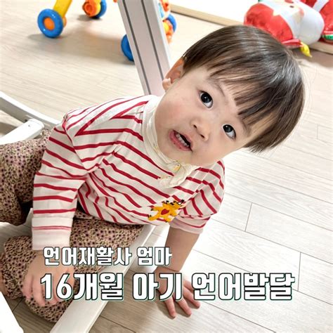 16개월 아기 언어 발달 언어재활사 엄마 네이버 블로그