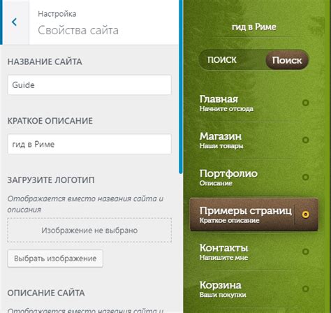 Расширяем Theme Customizer Создание страницы настроек темы для Wordpress