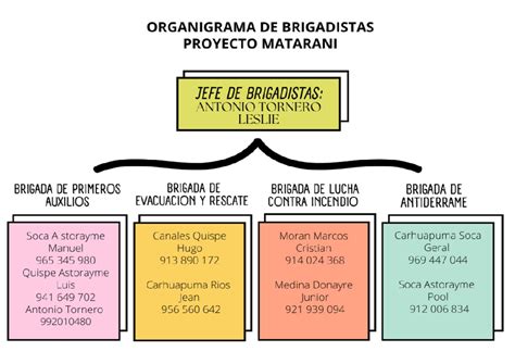 Esquema De Brigadas Tarea Organigrama De Brigadistas Proyecto