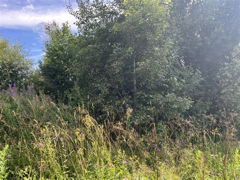 Земли сельхозназначения Московская область Дмитровский городской округ деревня Ульянки