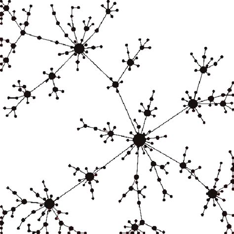 This Figure Shows A Typical Network With Preferential Attachment In