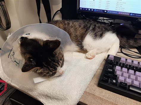 I Got This Older Boy Yesterday And Hes Been Glued To My Side Since